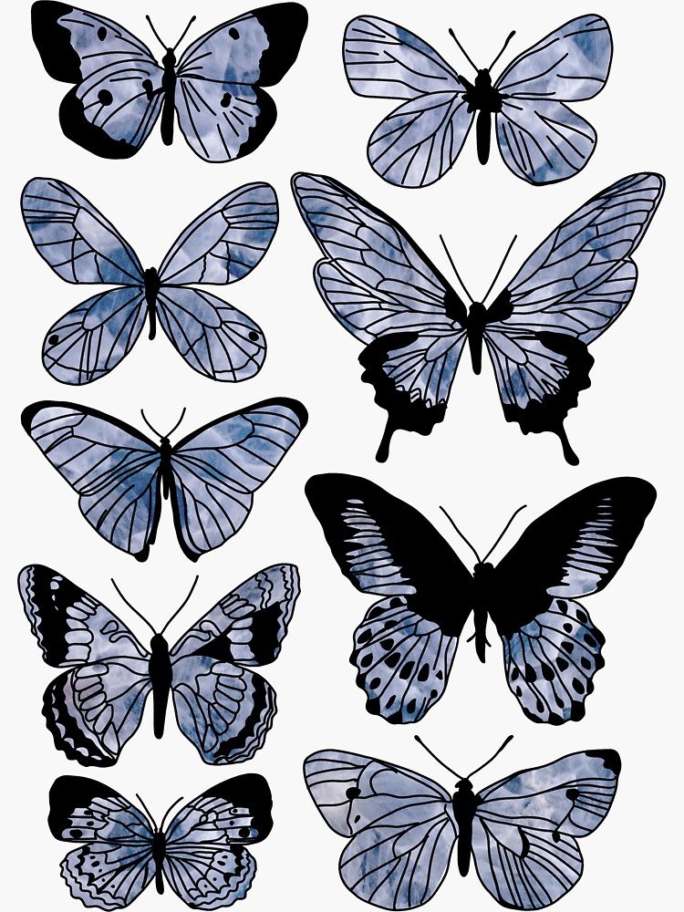 "Ash Blue butterflies" Sticker for Sale by Cozysnailmail | Redbubble