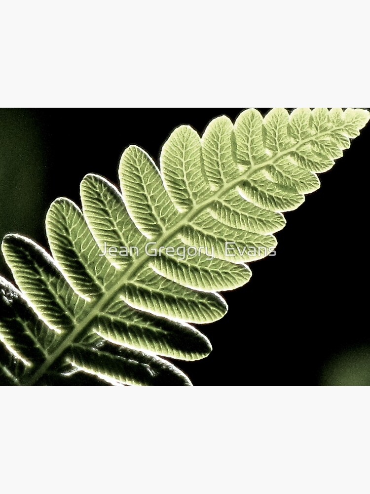 "Veins In The Pinna Of A Fern Frond" Sticker for Sale by jgevans ...