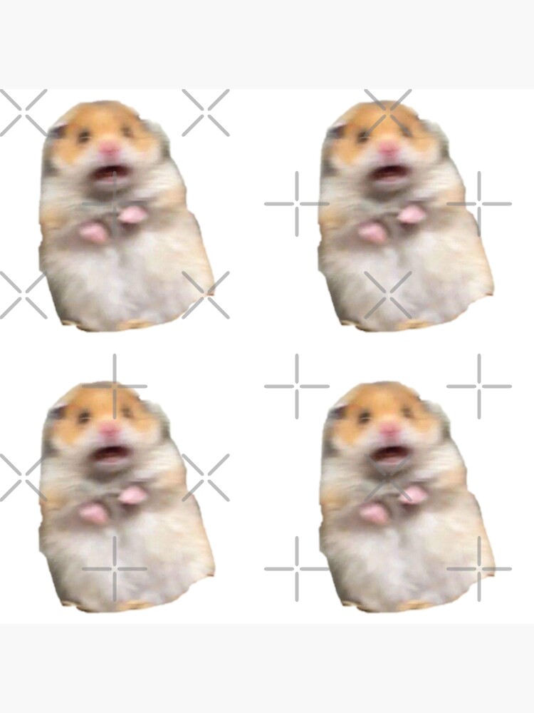 Póster «Falling Hamster MEME * Valor * Paquete 4» de ArcadePlayed ...