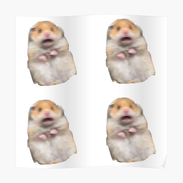Póster «Falling Hamster MEME * Valor * Paquete 4» de ArcadePlayed ...