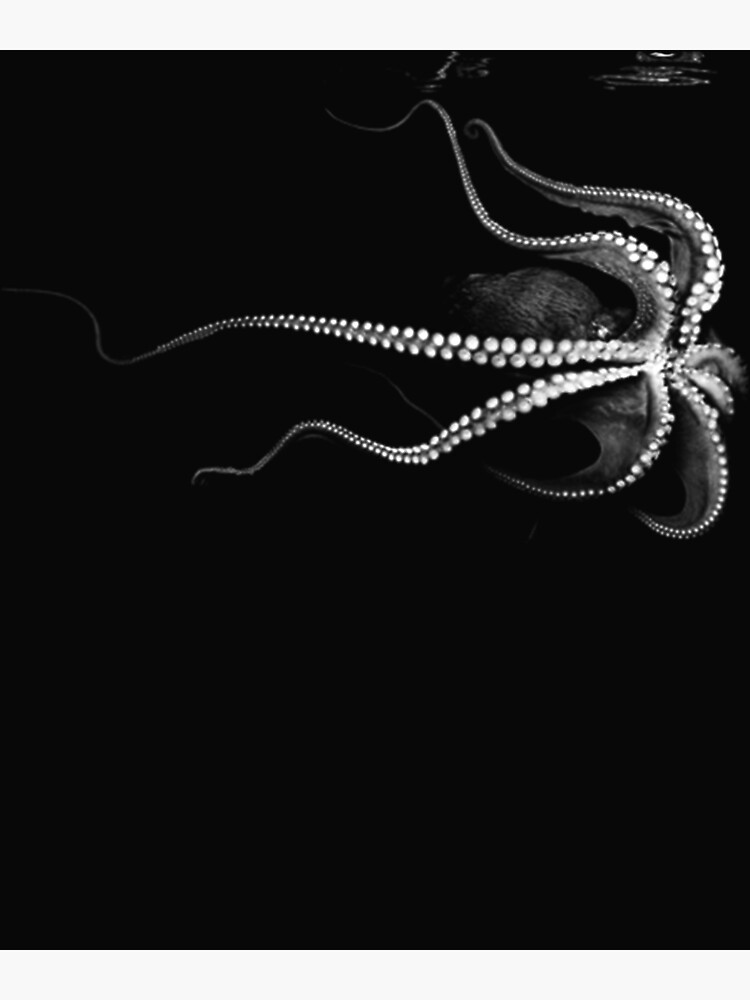 "Octopus squid octopus cephalopod polyp sea tentacle" Poster by ...