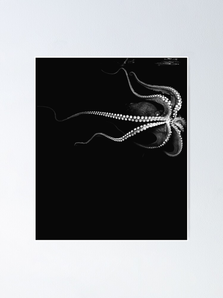"Octopus squid octopus cephalopod polyp sea tentacle" Poster for Sale ...