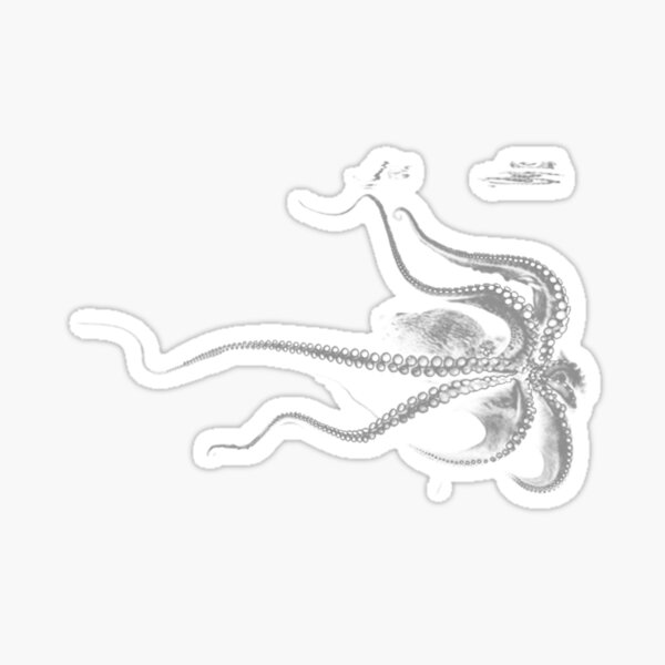 "Octopus squid octopus cephalopod polyp sea tentacle" Sticker for Sale ...