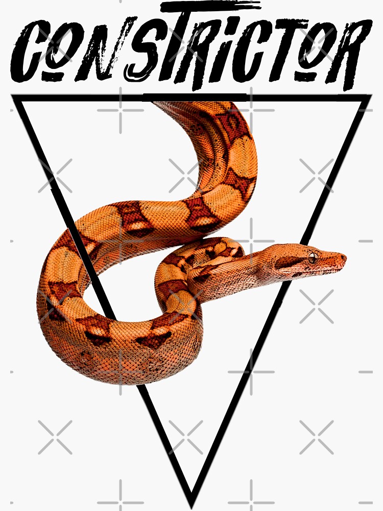 "Boa Constrictor Geometric" Sticker by JRRTs | Redbubble