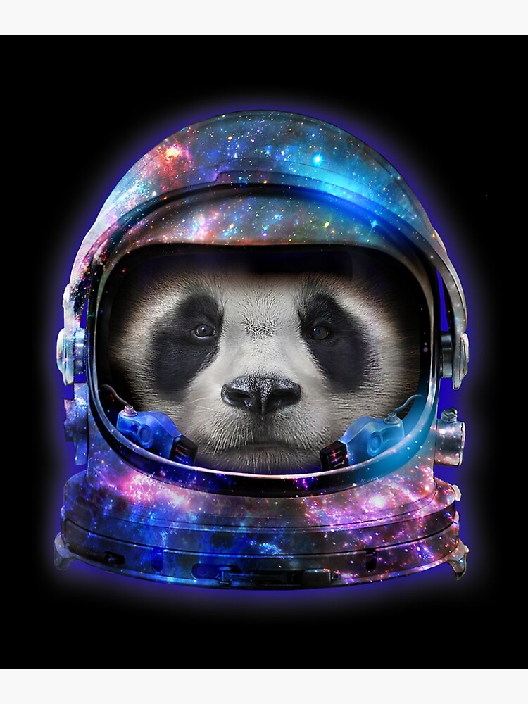 Lámina fotográfica «Panda gigante en el casco de astronauta de la ...