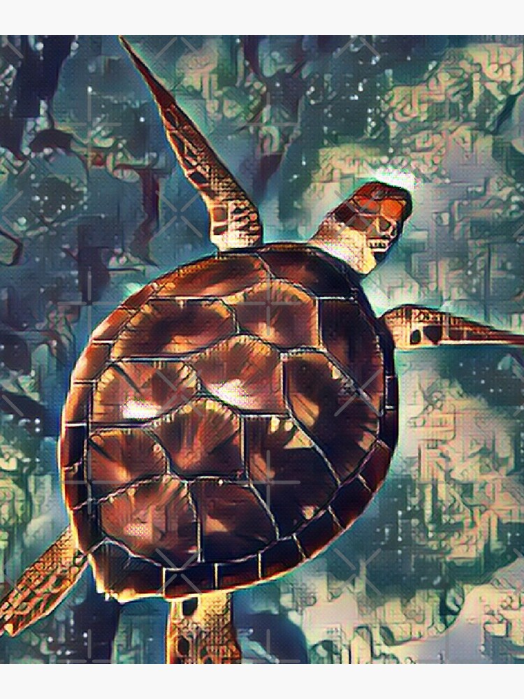 "I Brake For Turtles" Sticker for Sale by H2O-Shop | Redbubble