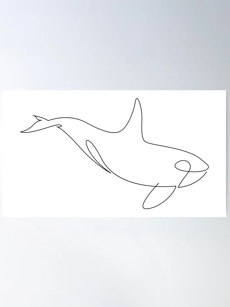 Killer Whale Line Drawing