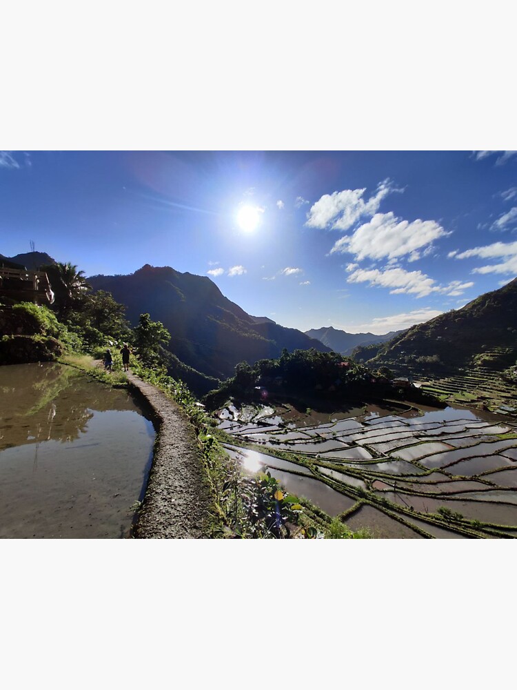 "Rice Terraces in the Phillipines" Sticker for Sale by Xtan | Redbubble