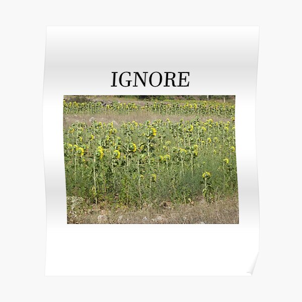 "Ignore" Poster for Sale by jcnenm | Redbubble