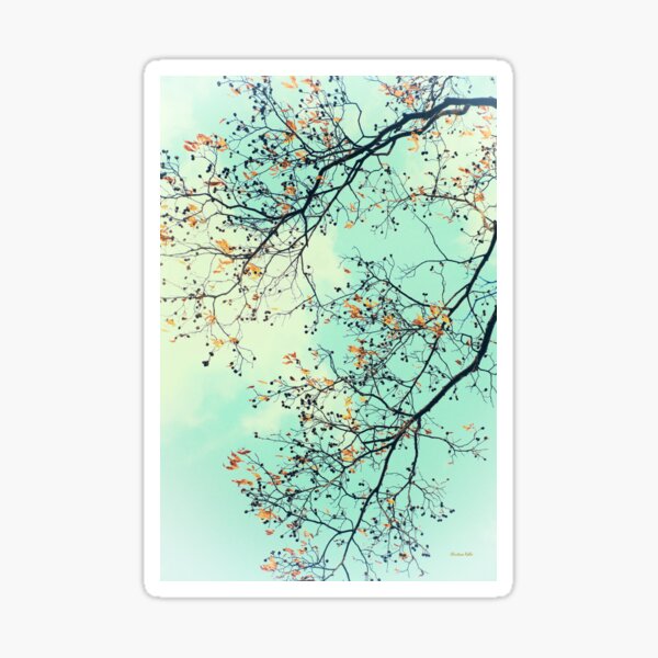 "Winter Trees Winter Solstice Triptych 1 Of 3" Sticker for Sale by ...