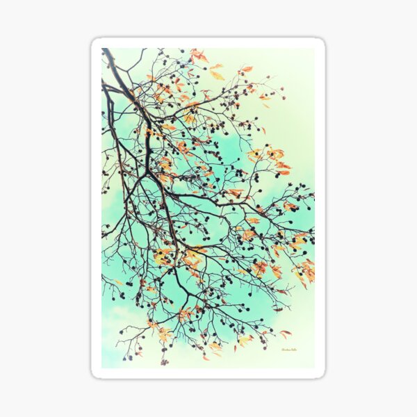 "Winter Trees Winter Solstice Triptych 2 Of 3" Sticker for Sale by ...