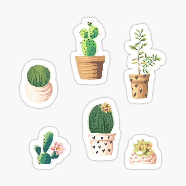 "Cactus sticker pack" Sticker for Sale by Adam7ears | Redbubble