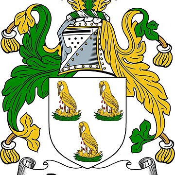 "Patterson Coat of Arms / Patterson Family Crest" Photographic Print ...