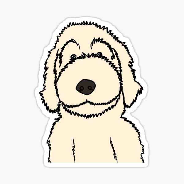 "Cream Goldendoodle cartoon" Sticker for Sale by magzjtrp | Redbubble
