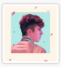 Troye Sivan: Stickers | Redbubble