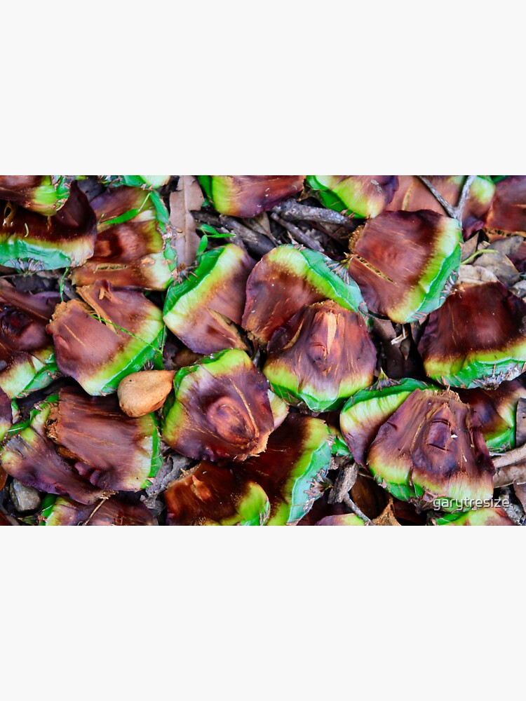 "seeds" Sticker by garytresize | Redbubble