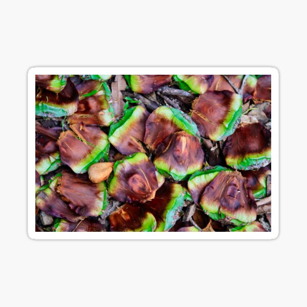 "seeds" Sticker by garytresize | Redbubble