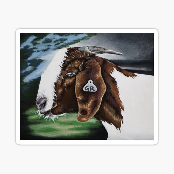 "Realistic Boer Goat Painting" Sticker for Sale by gillybug | Redbubble