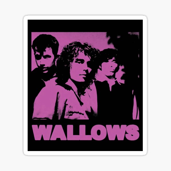 "wallows virtual tour - " Sticker by parefdalaokas | Redbubble