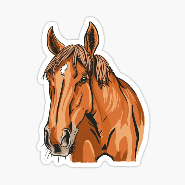 "Chestnut Thoroughbred Horse" Sticker for Sale by TamZim-Art | Redbubble