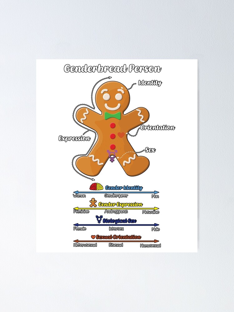 "Genderbread Fluid Person" Poster for Sale by sociallyinform | Redbubble