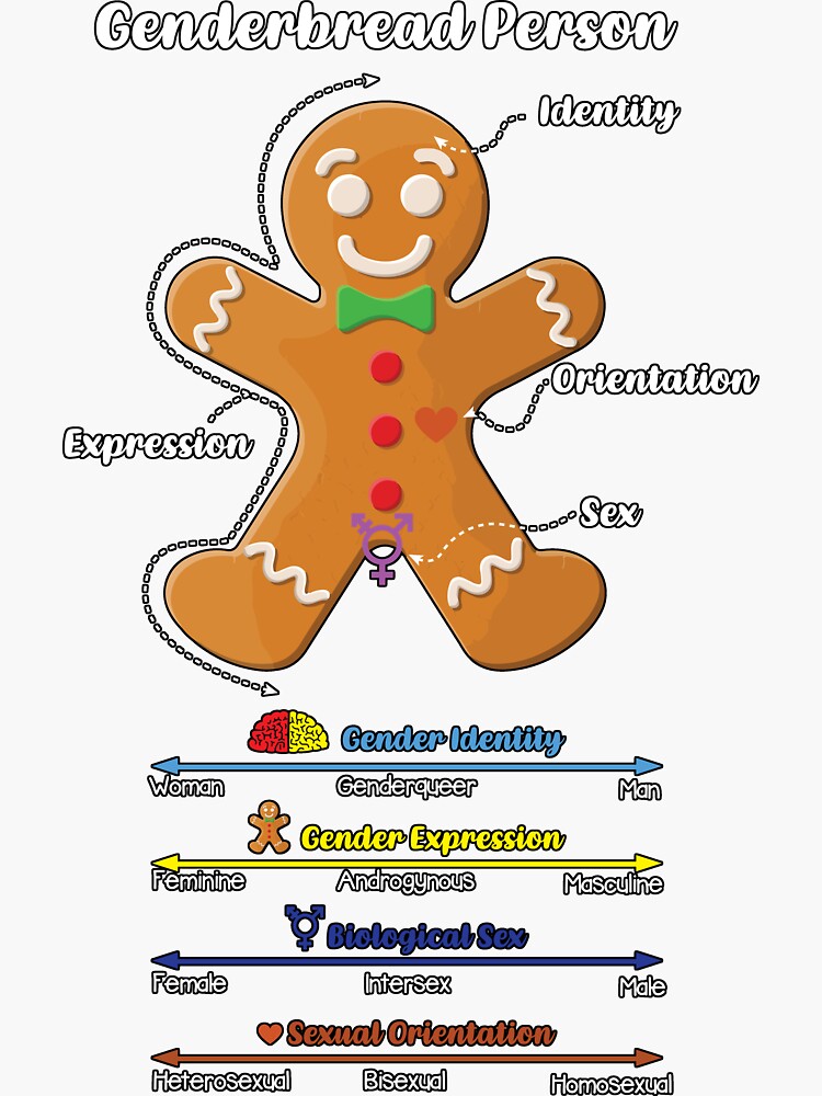 "Genderbread Fluid Person" Sticker for Sale by sociallyinform | Redbubble