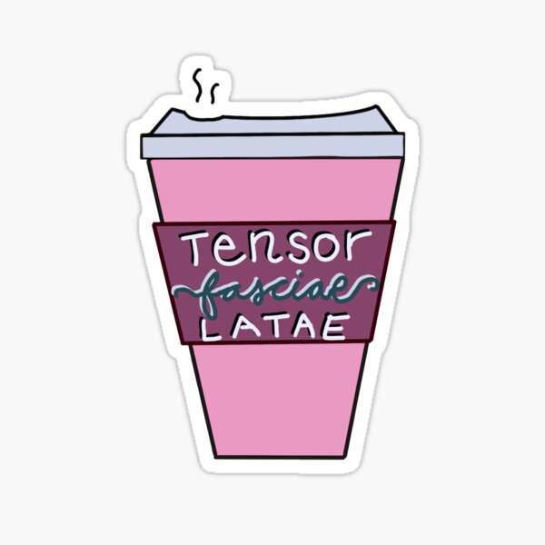"Tensor Fasciae Latae" Sticker for Sale by LilCandyCorn | Redbubble