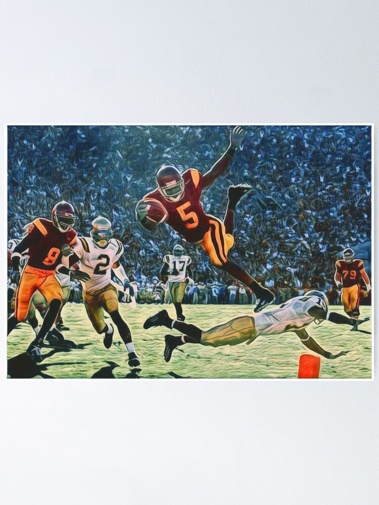 "Reggie" Poster for Sale by Wakentake | Redbubble