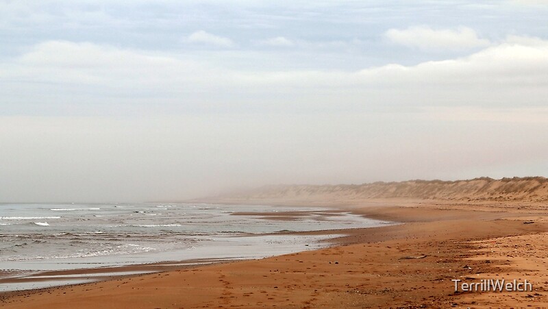 "Blooming Point Beach PEI" by TerrillWelch | Redbubble