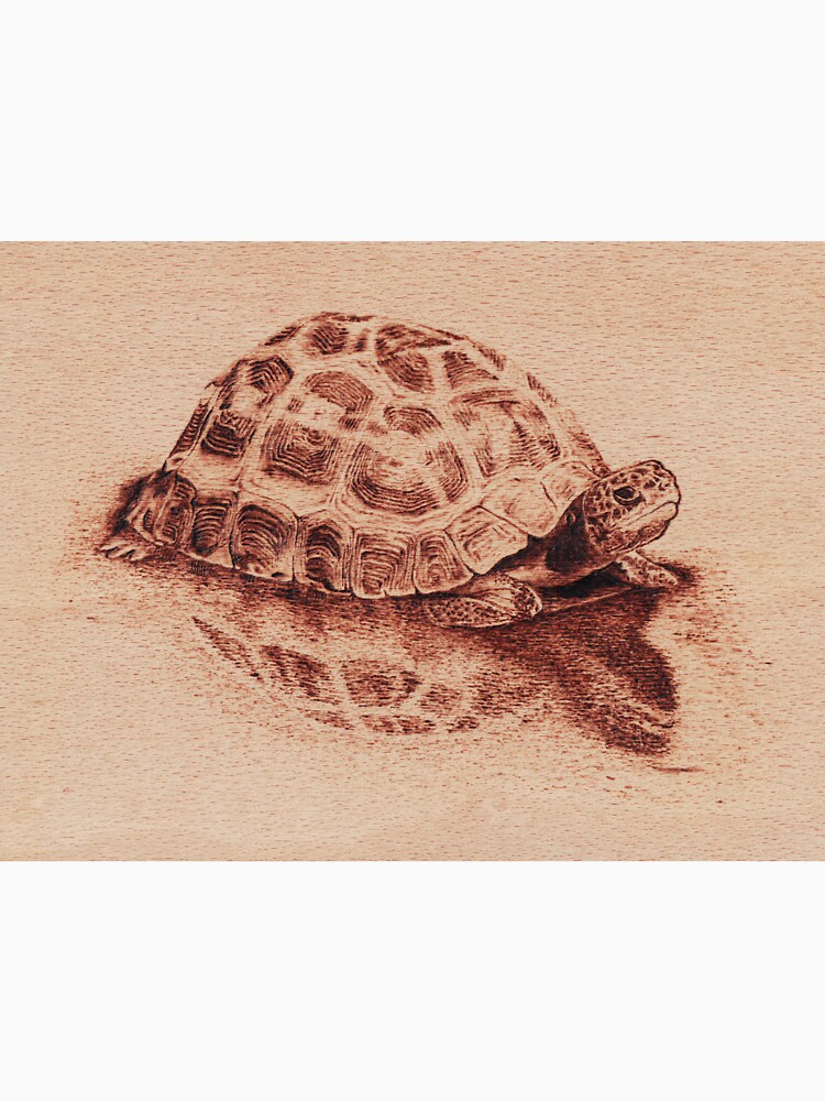 "Spider tortoise - Pyxis arachnoides - Pyrography" T-shirt for Sale by ...
