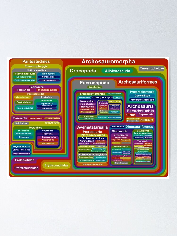 "Archosauromorpha" Poster by adinosauraday | Redbubble