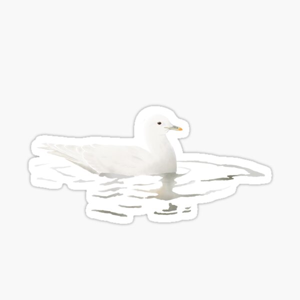 "Swimming adult Ivory Gull" Sticker for Sale by AndrasVasasArt | Redbubble