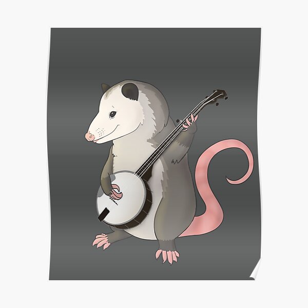 "Banjo playing possum dude" Poster by Mehu | Redbubble