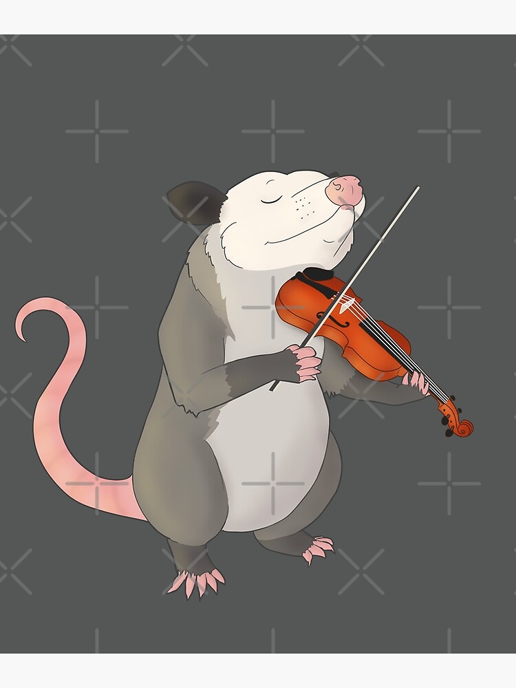 "Possum playing the fiddle or violin" Poster by Mehu | Redbubble