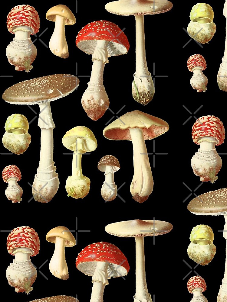 "Cottagecore Aesthetic Mushrooms - Cute Vintage Mycology - Grunge ...