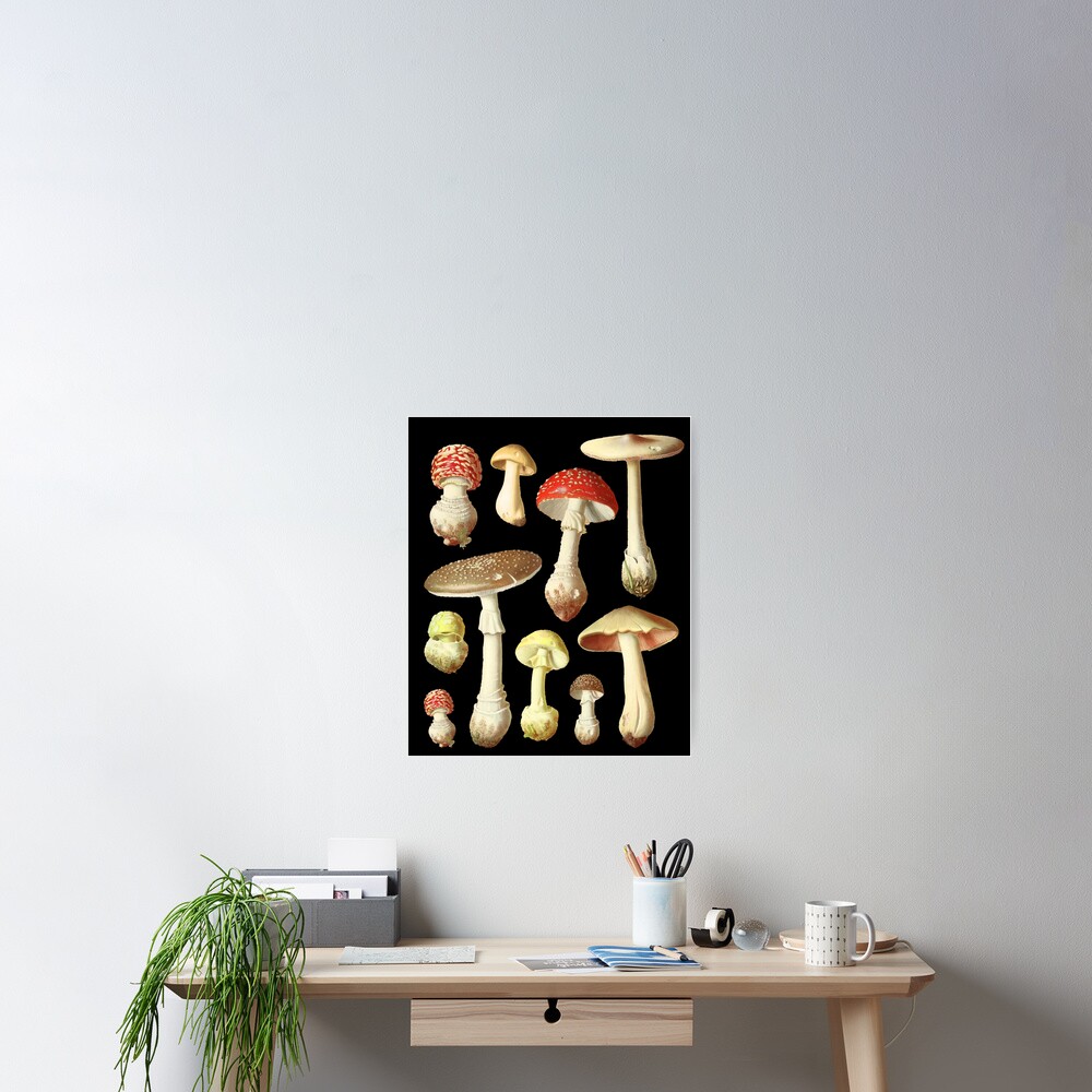 "Cottagecore Aesthetic Mushrooms - Cute Vintage Mycology - Grunge ...