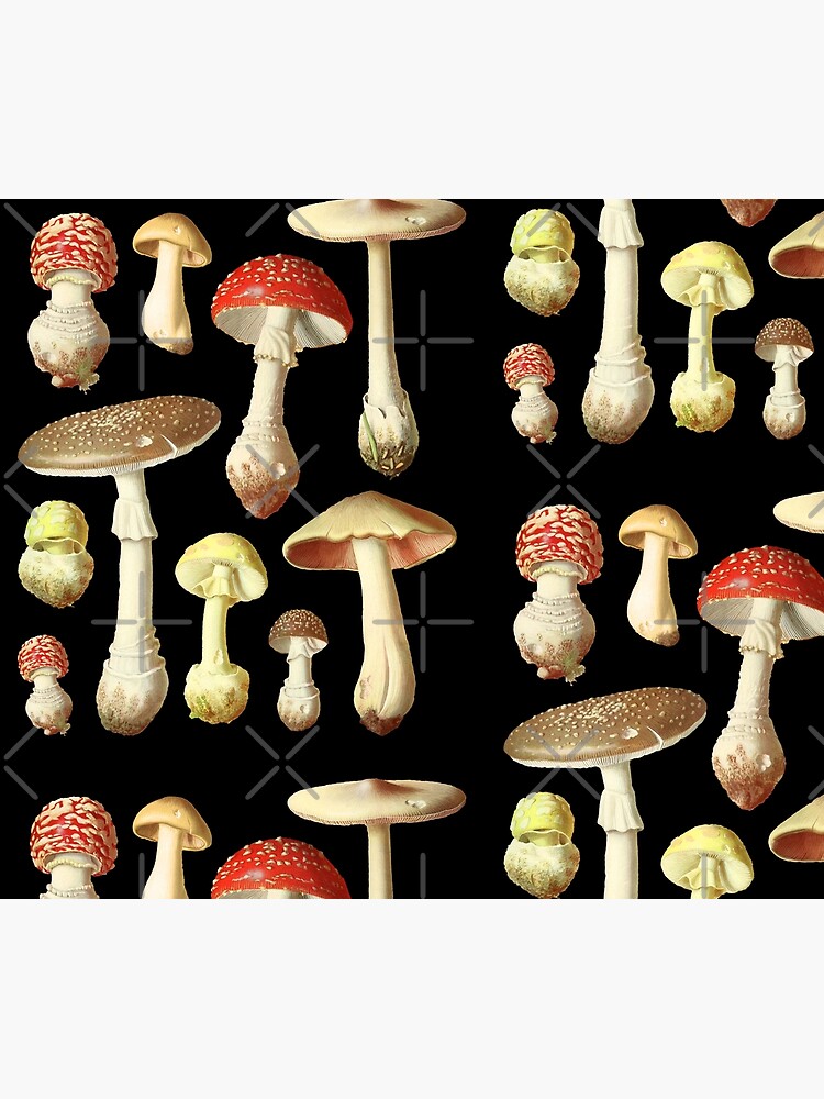 "Cottagecore Aesthetic Mushrooms - Cute Vintage Mycology - Grunge ...