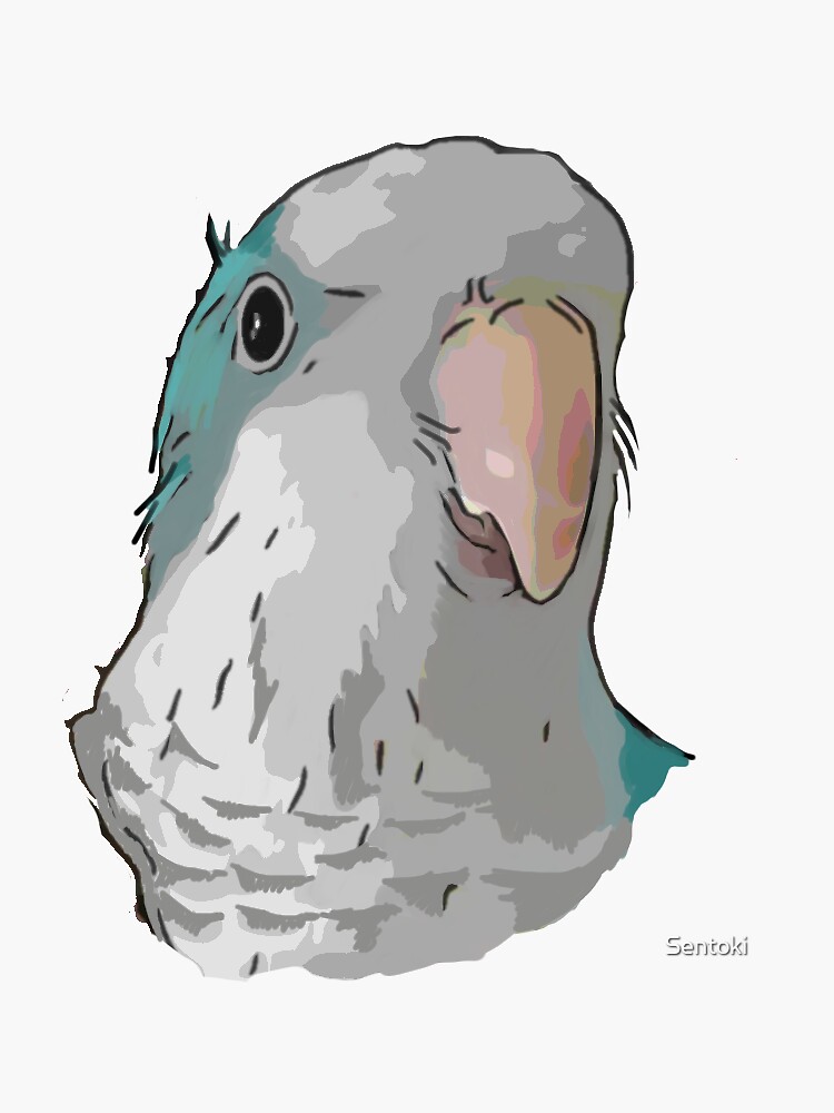 "Ori emote (Quaker parrot)" Sticker by Sentoki | Redbubble