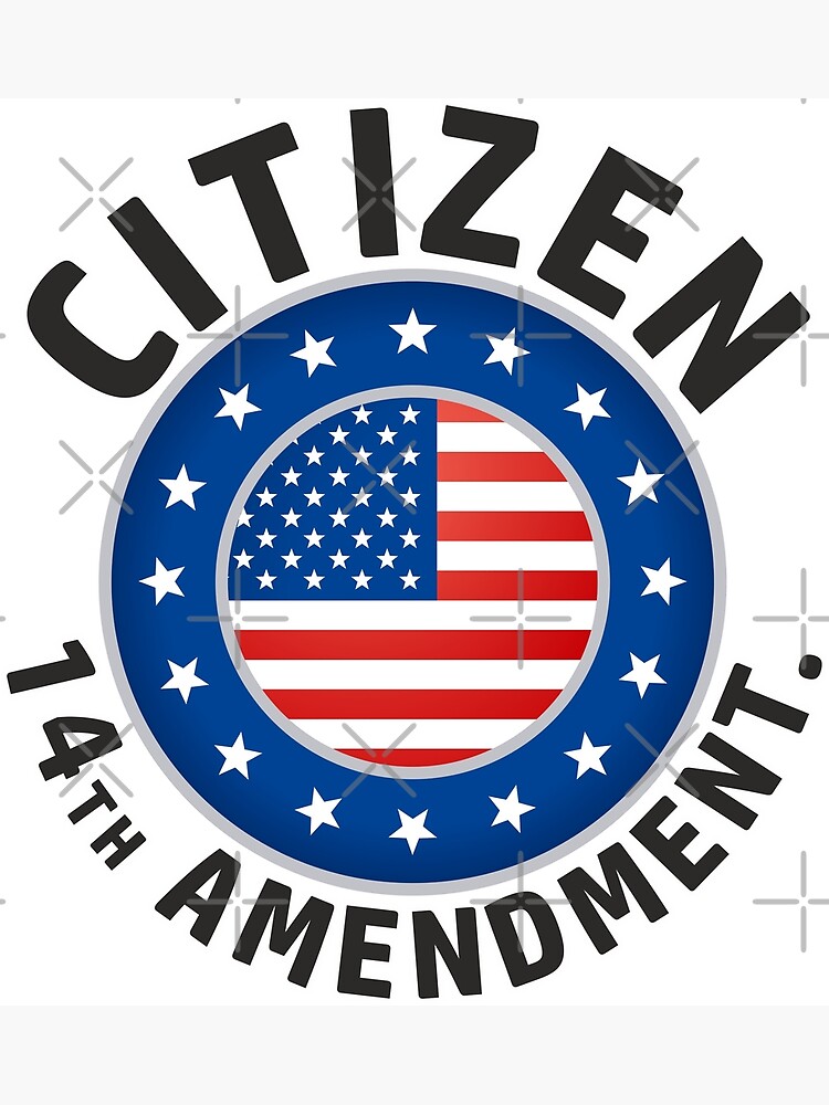 "The Fight for America - 14th Amendment citizen" Poster for Sale by ...