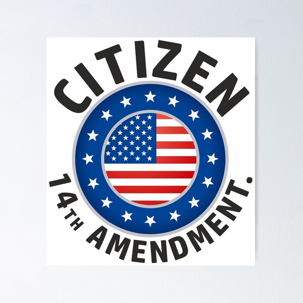 "The Fight for America - 14th Amendment citizen" Poster for Sale by ...