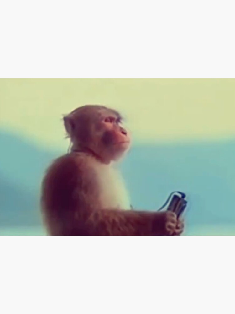 "Monkey Vibing" Sticker by AidenHerrod | Redbubble