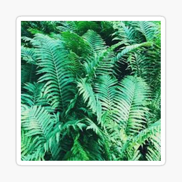"Tropical Green Nature" Sticker by esarantakos | Redbubble