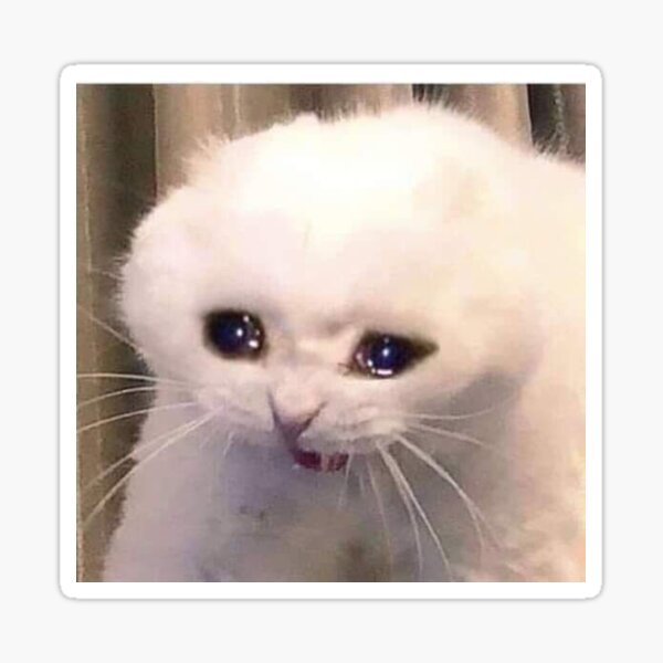 "Michi meme" Sticker by MelissaLuna18 | Redbubble