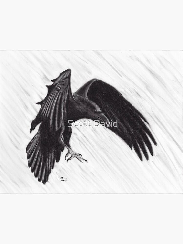 "Raven In Flight" Sticker for Sale by ScottDavidArt | Redbubble