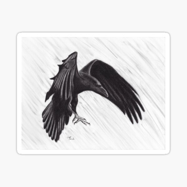 "Raven In Flight" Sticker for Sale by ScottDavidArt | Redbubble