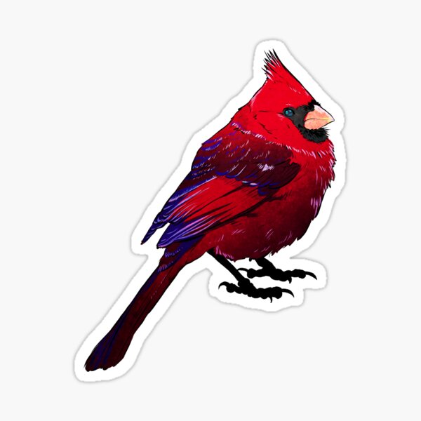 "Cardinal" Sticker for Sale by bendrawslife | Redbubble