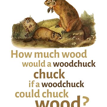 How Much Wood Could A Woodchuck Chuck If A Woodchuck Could Chuck Norris