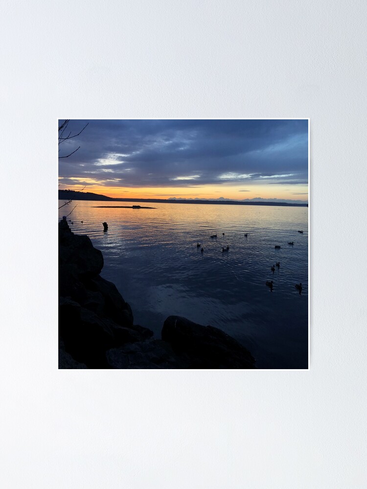 "What a Beautiful World" Poster for Sale by vandvbloom | Redbubble