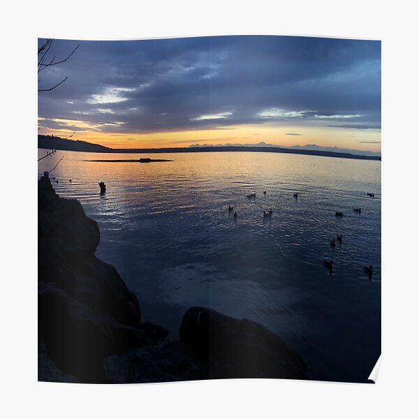 "What a Beautiful World" Poster for Sale by vandvbloom | Redbubble