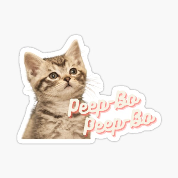 "cat Peep-Bo Peep-Bo" Sticker for Sale by YeolE | Redbubble